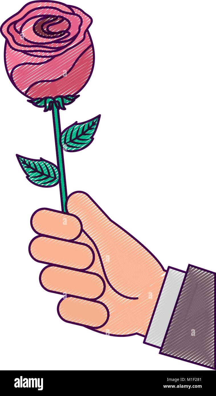 hand holding beautiful flower nature vector illustration Stock Vector ...