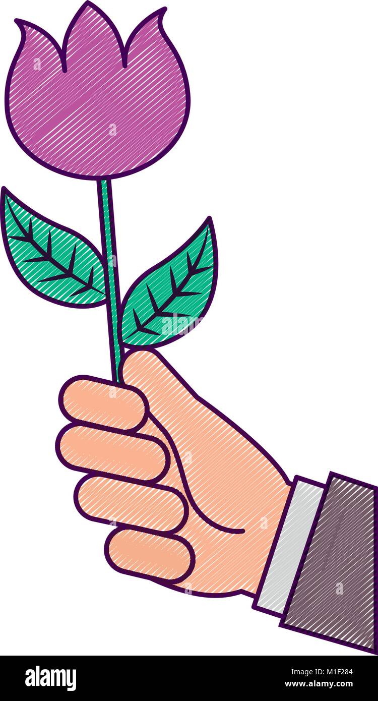 hand holding beautiful flower nature vector illustration Stock Vector ...