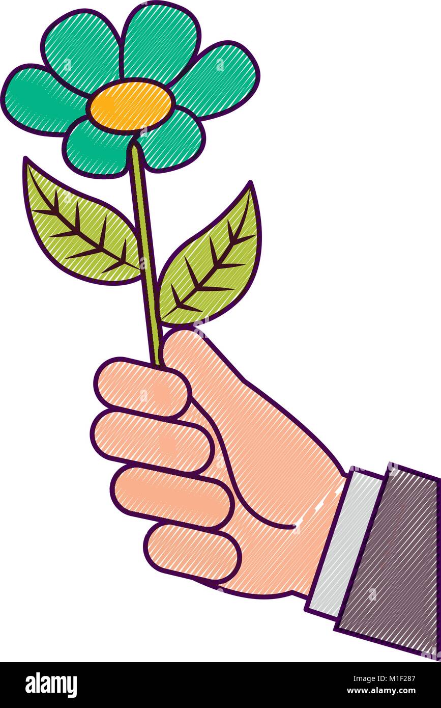 hand holding beautiful flower nature vector illustration Stock Vector ...