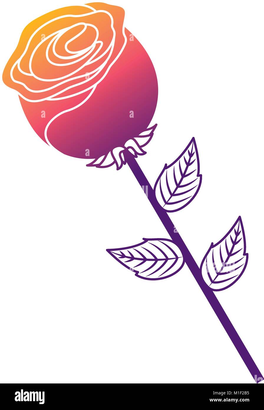 flower stem petal leaves natural spring image vector illustration Stock ...