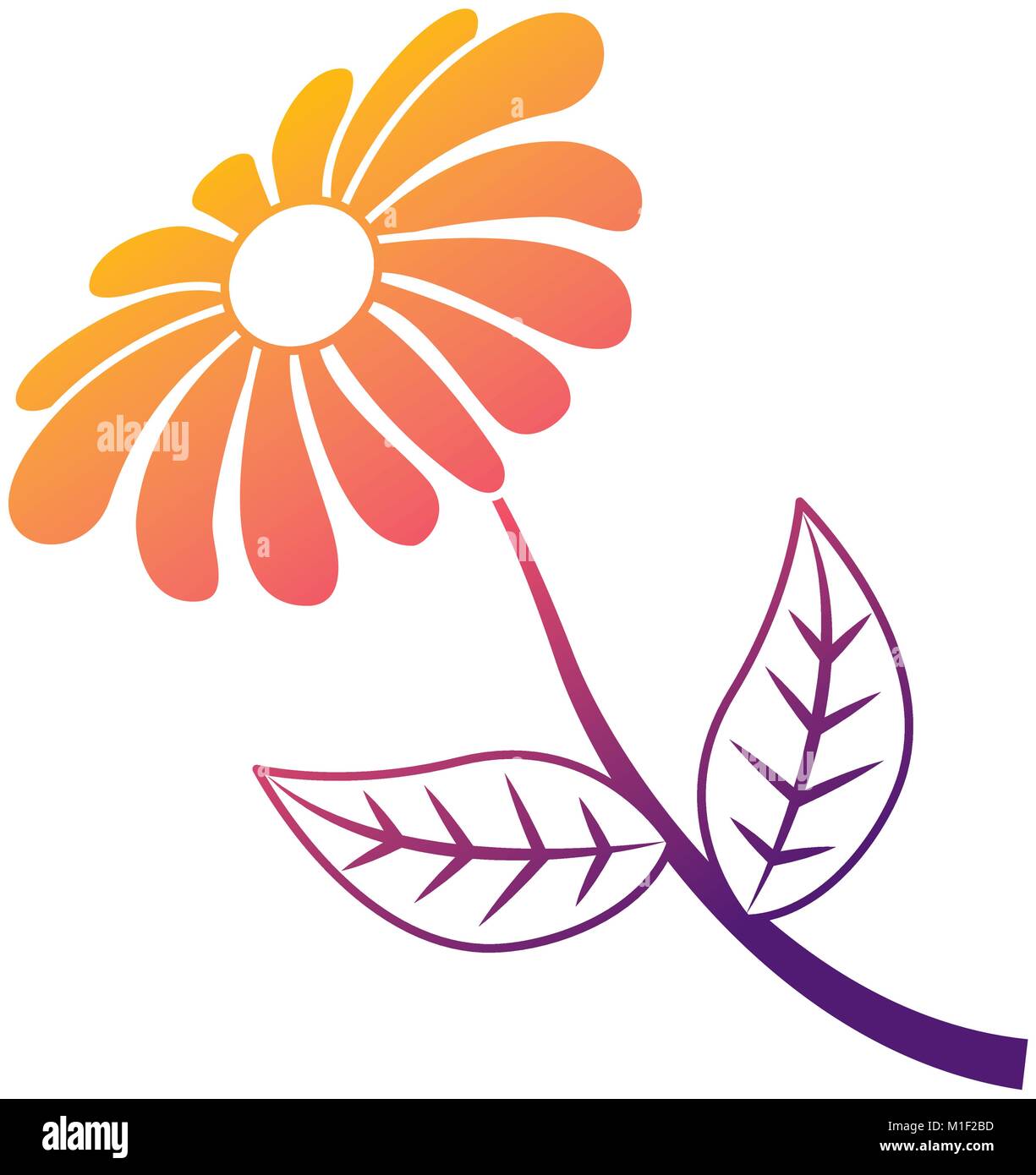 flower stem petal leaves natural spring image vector illustration Stock ...