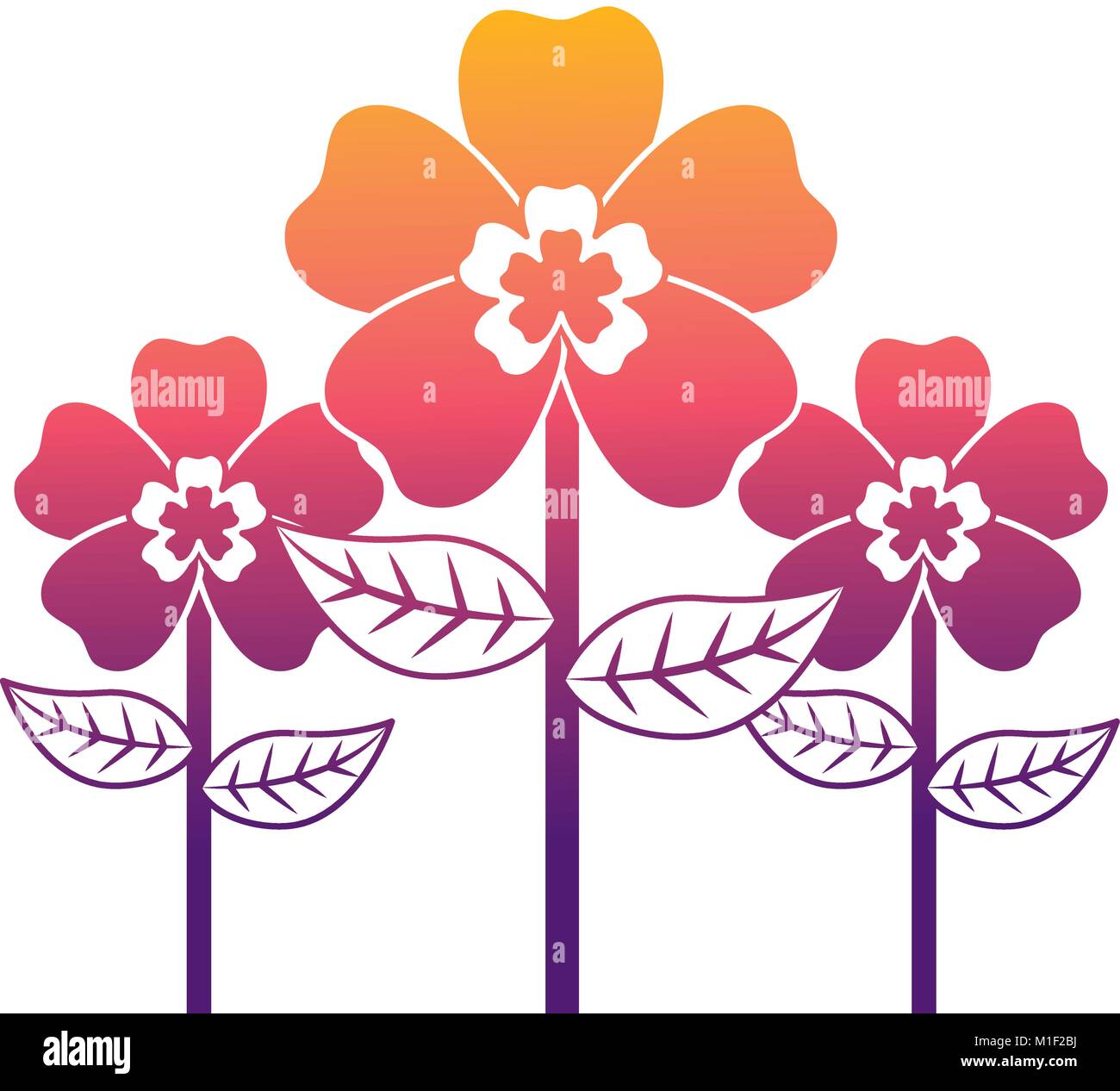 decoration three stem petal flower leaf botanical vector illustration ...