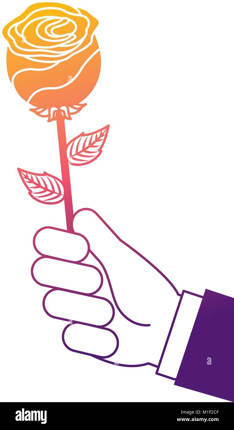 hand holding beautiful flower nature vector illustration Stock Vector ...