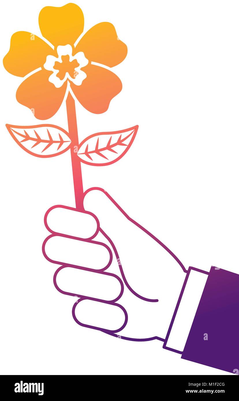 hand holding beautiful flower nature vector illustration Stock Vector ...
