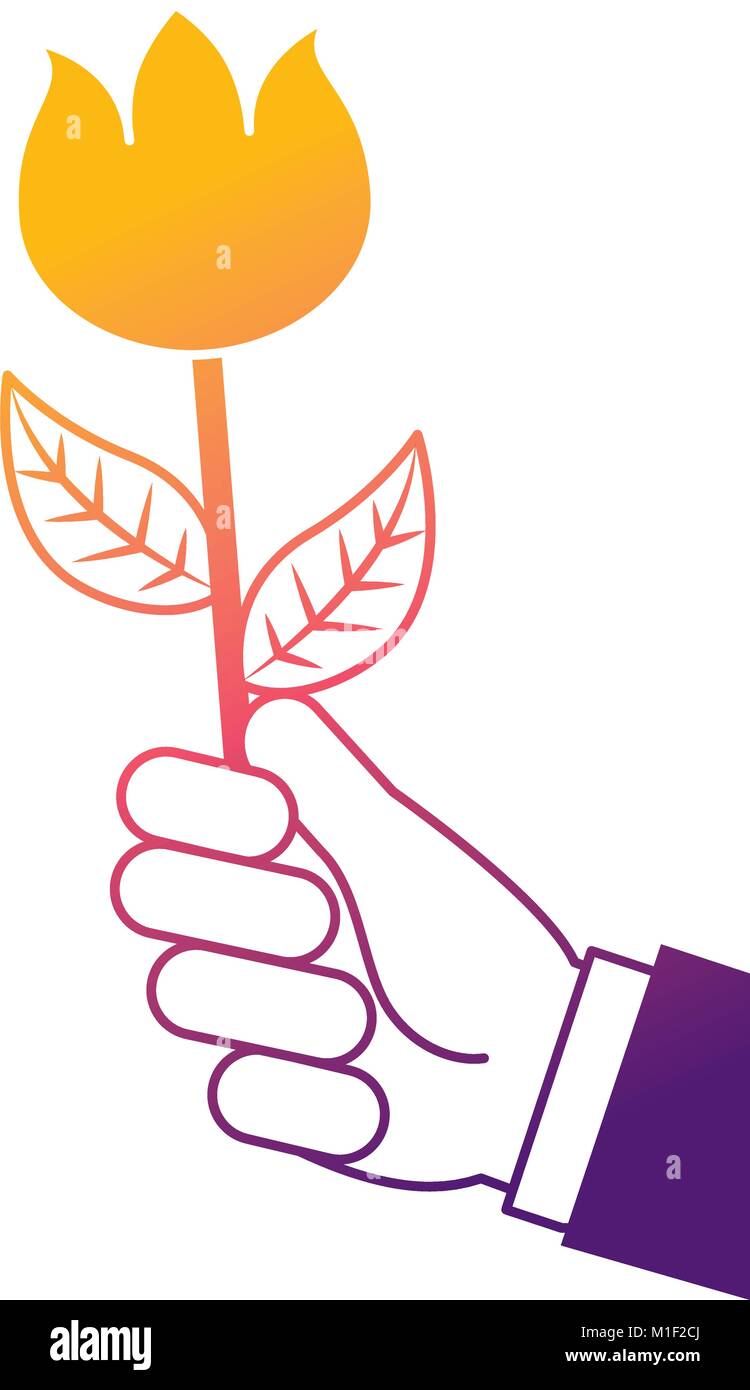 hand holding beautiful flower nature vector illustration Stock Vector ...