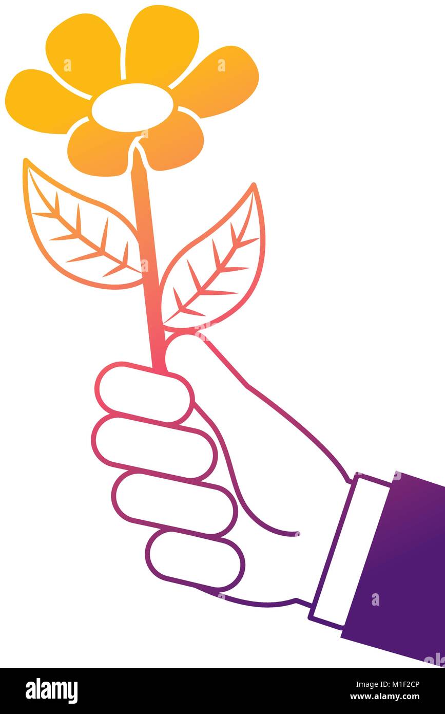 hand holding beautiful flower nature vector illustration Stock Vector ...