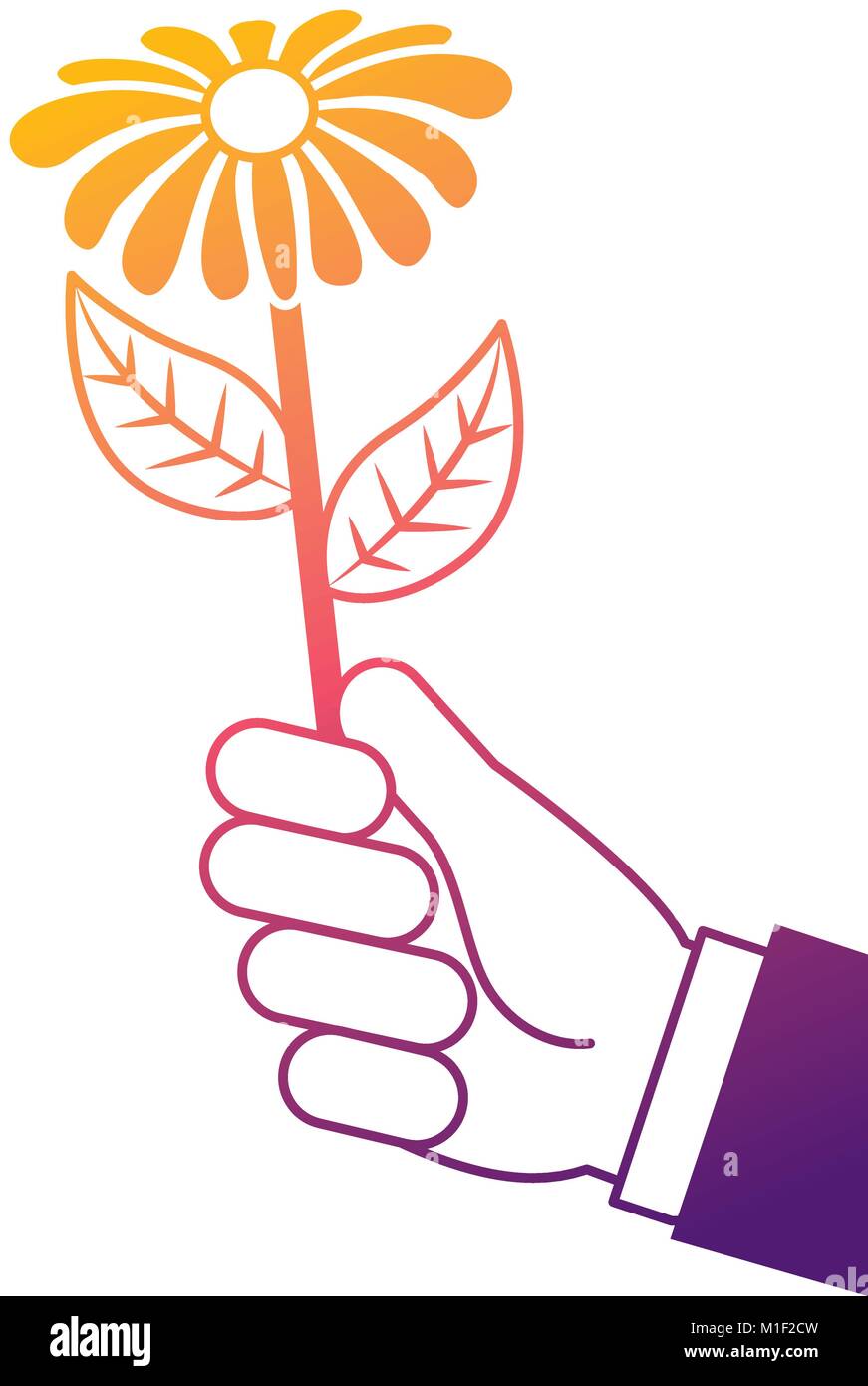 hand holding beautiful flower nature vector illustration Stock Vector ...