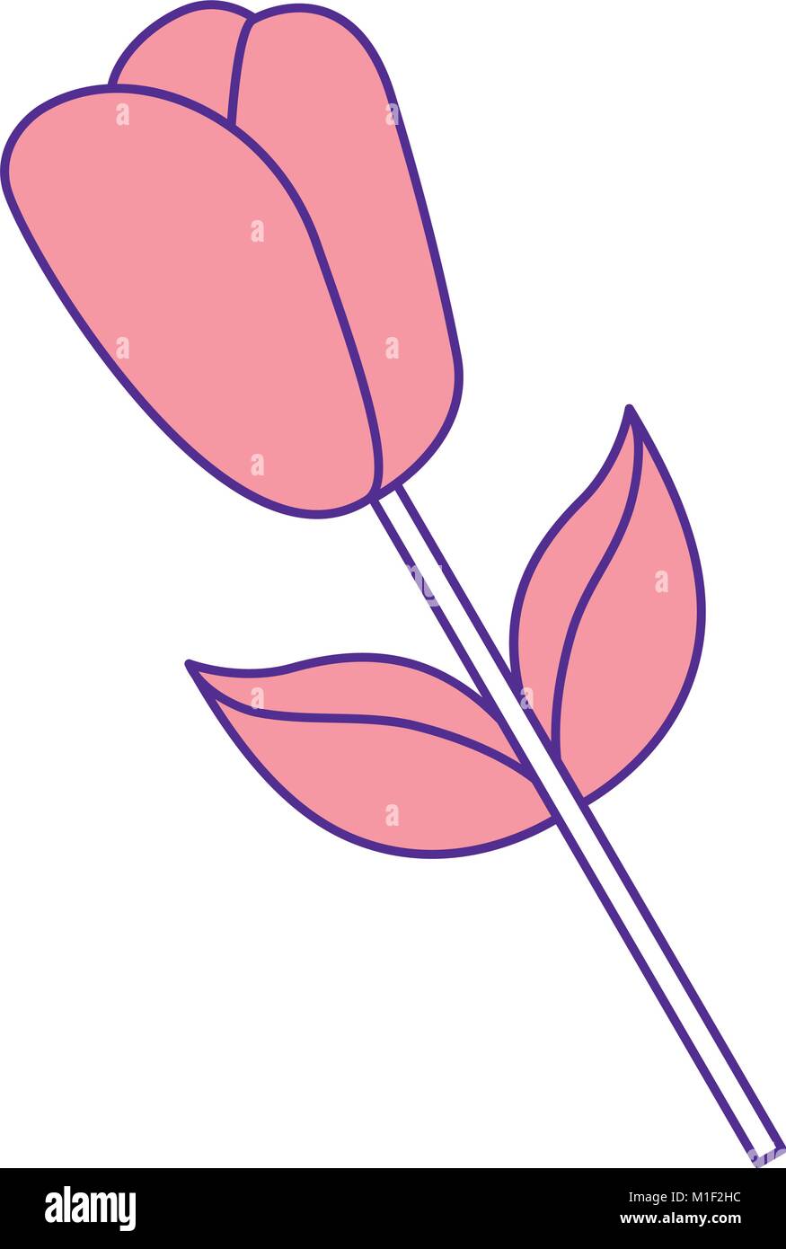 flower stem petal leaves natural spring image vector illustration pink ...