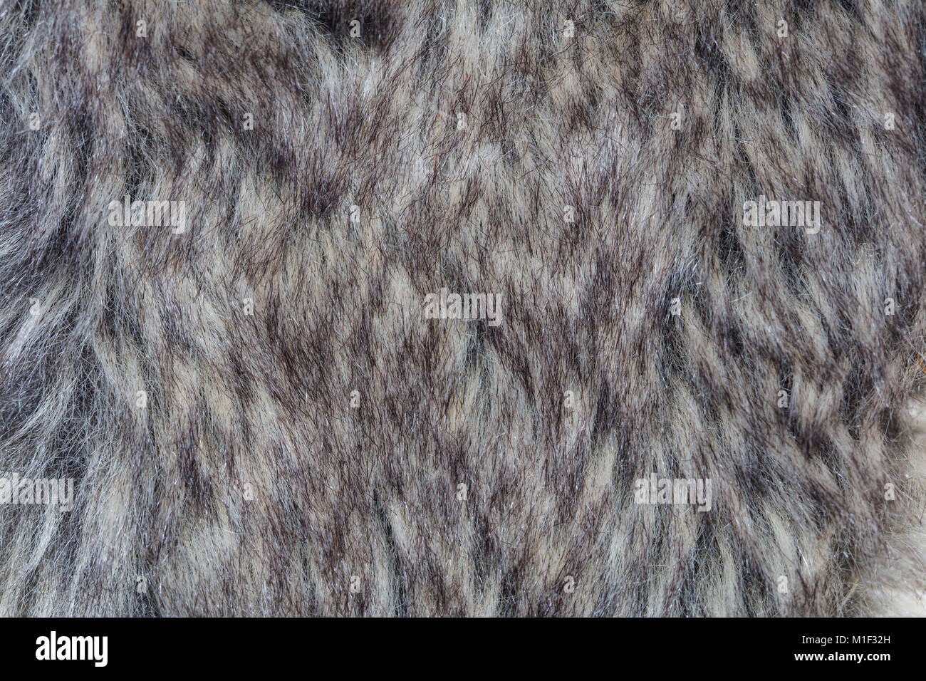 close up on hairy fur Stock Photo - Alamy