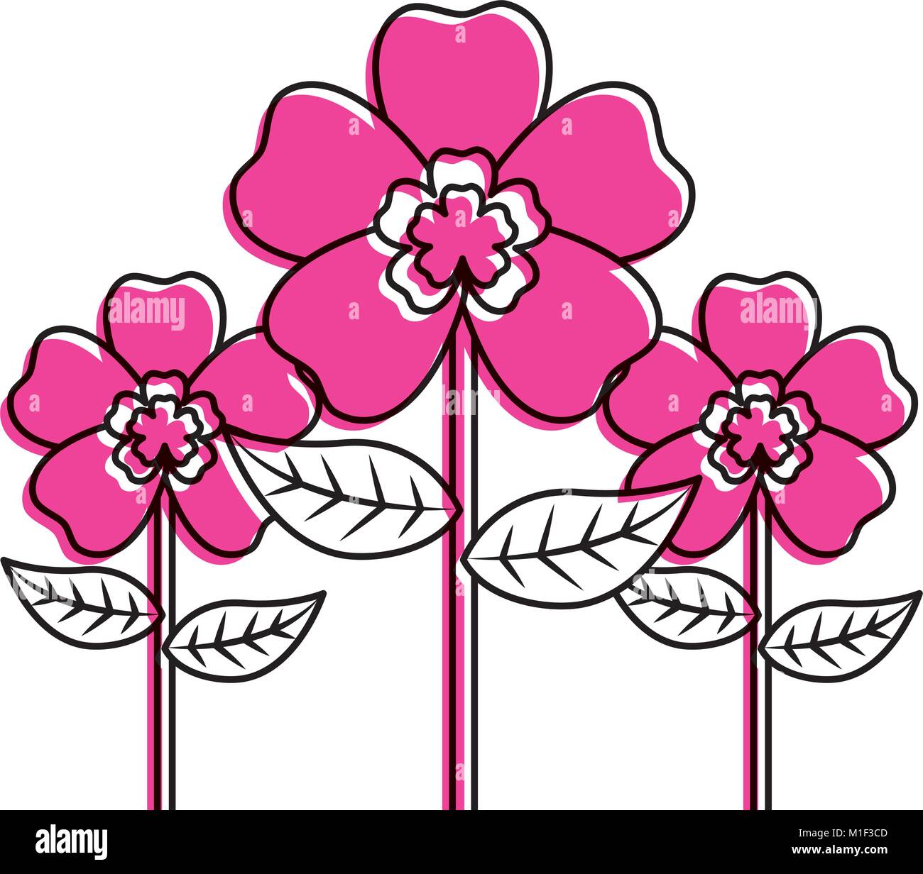 decoration three stem petal flower leaf botanical Stock Vector Image ...