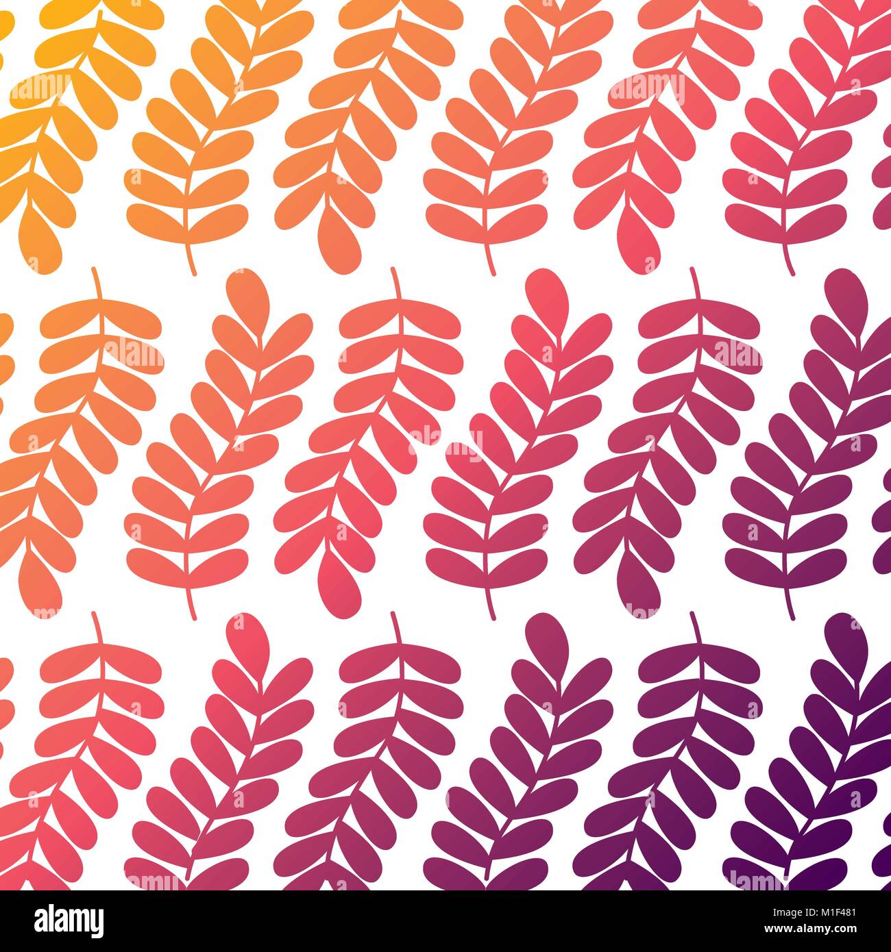 Plant with feathery leaves Stock Vector Images - Alamy