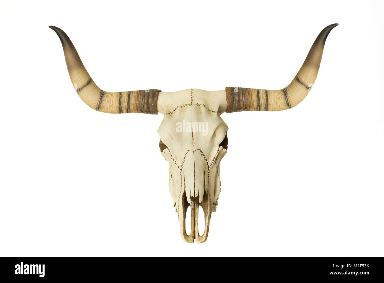Goat skull hi-res stock photography and images - Alamy