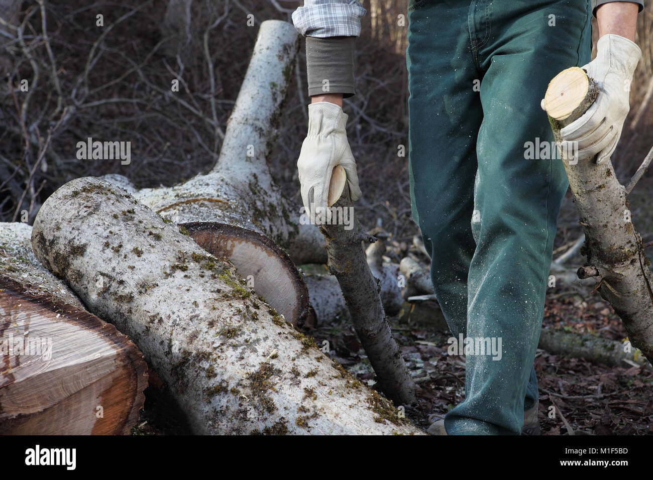 Man carrying tree trunk hi-res stock photography and images - Alamy