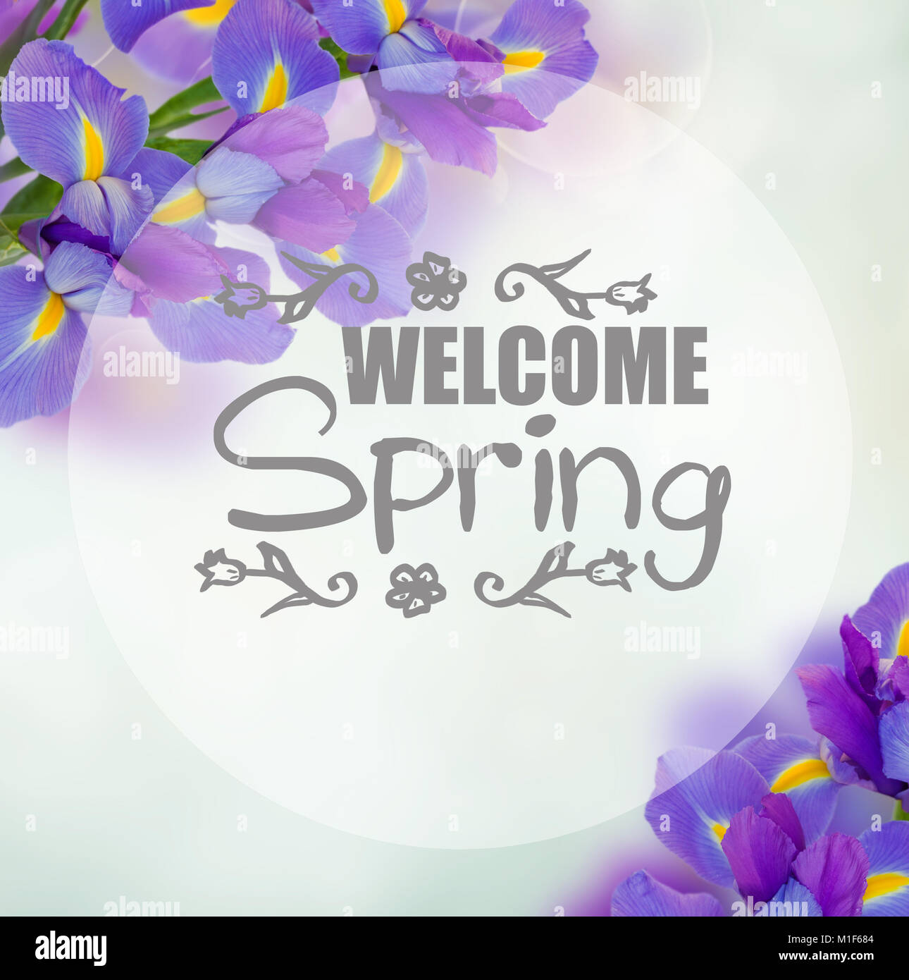irises flower frame on blue bokeh background with welcome spring words ...