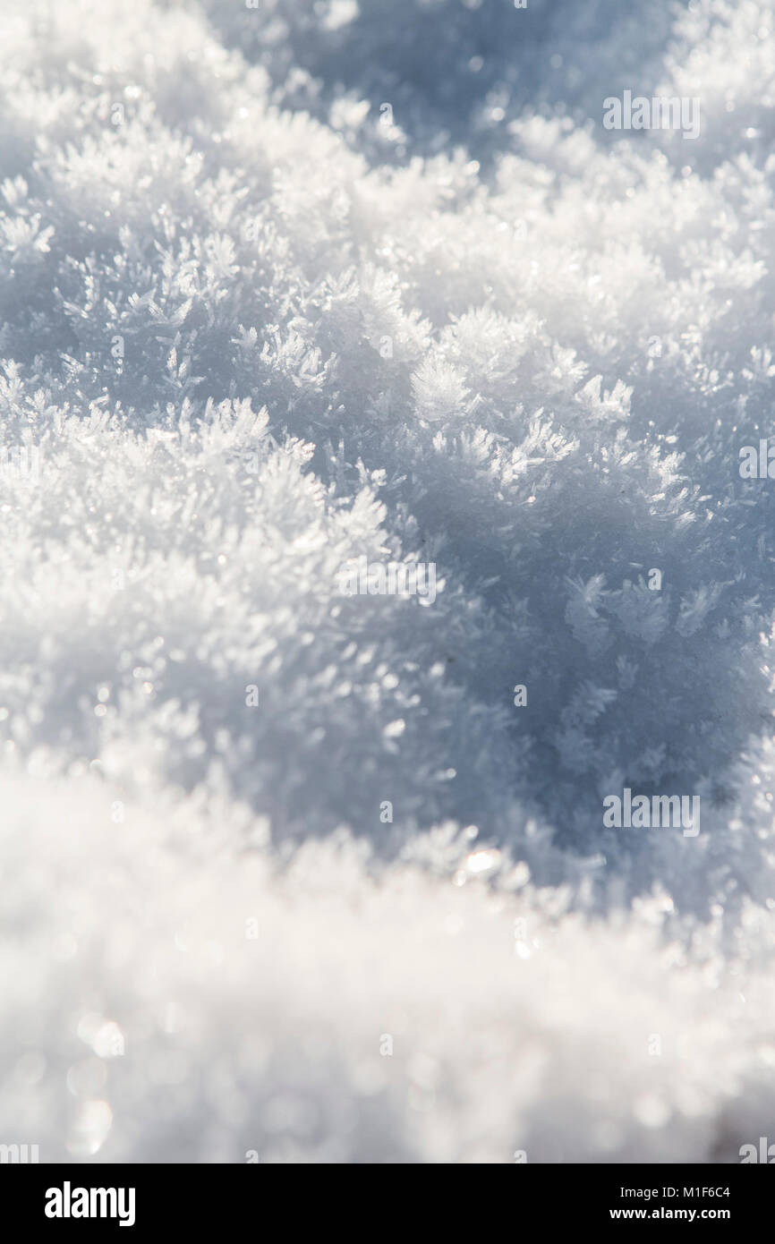 Tiny ice crystals on the surface of fresh snow Stock Photo - Alamy