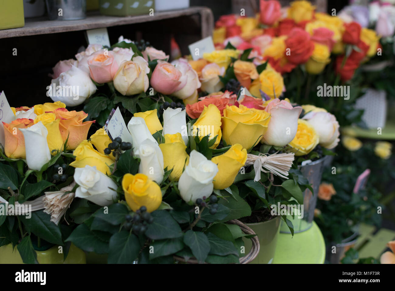 Brightly colored flower hi-res stock photography and images - Alamy