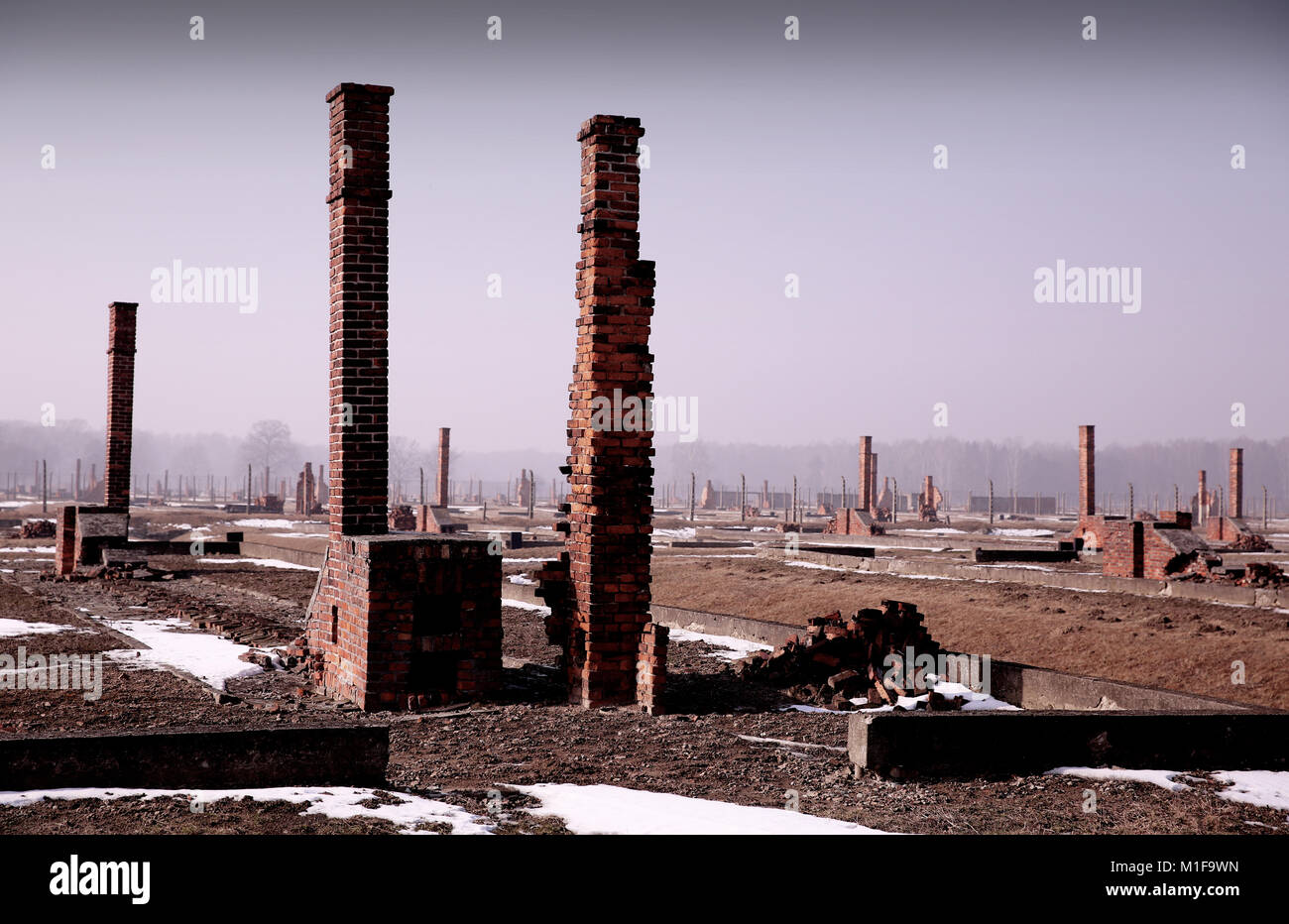 Ruins of destroyed wooden accommodation huts in Auschwitz II - Birkenau ...