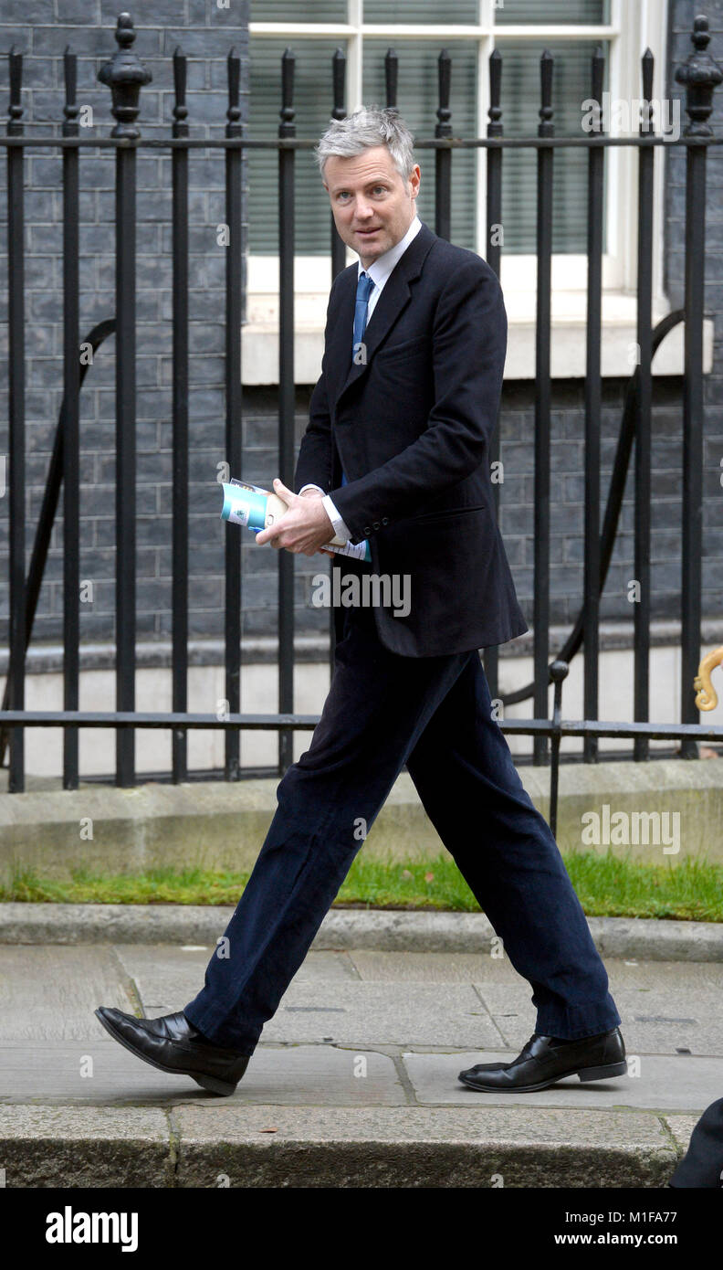 Zac Goldsmith MP arriving in Downing Street, London Stock Photo - Alamy