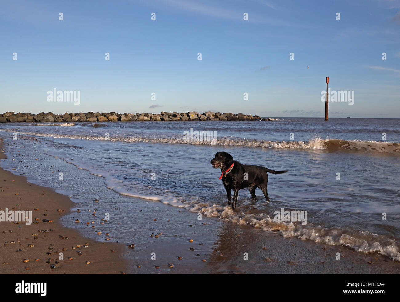 Eccles on sea hi-res stock photography and images - Alamy