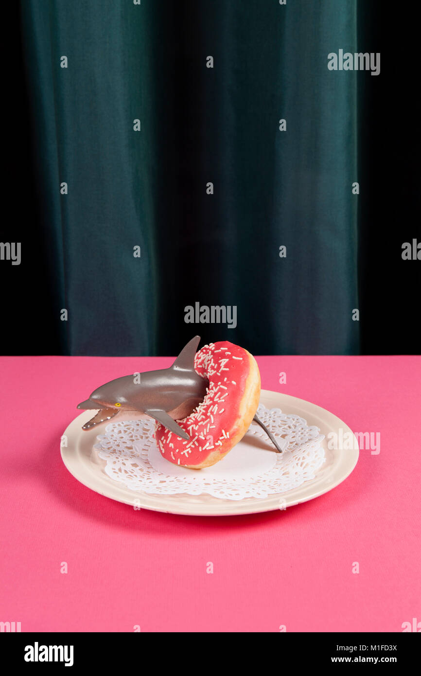 a dolphin plastic toy inside a donut symbolizing a buoy on a vibrant ...