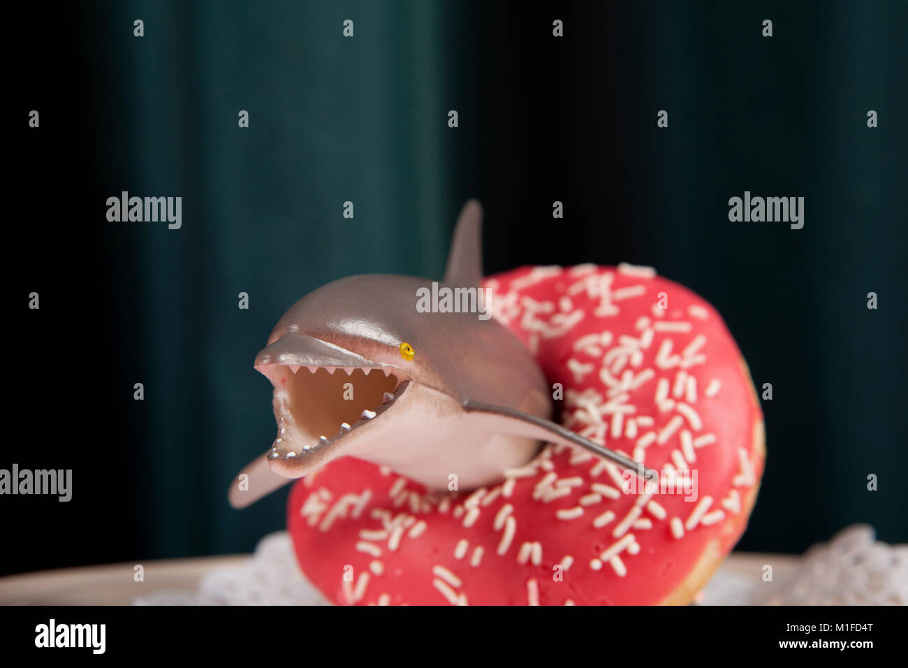 a dolphin plastic toy inside a donut symbolizing a buoy on a vibrant ...