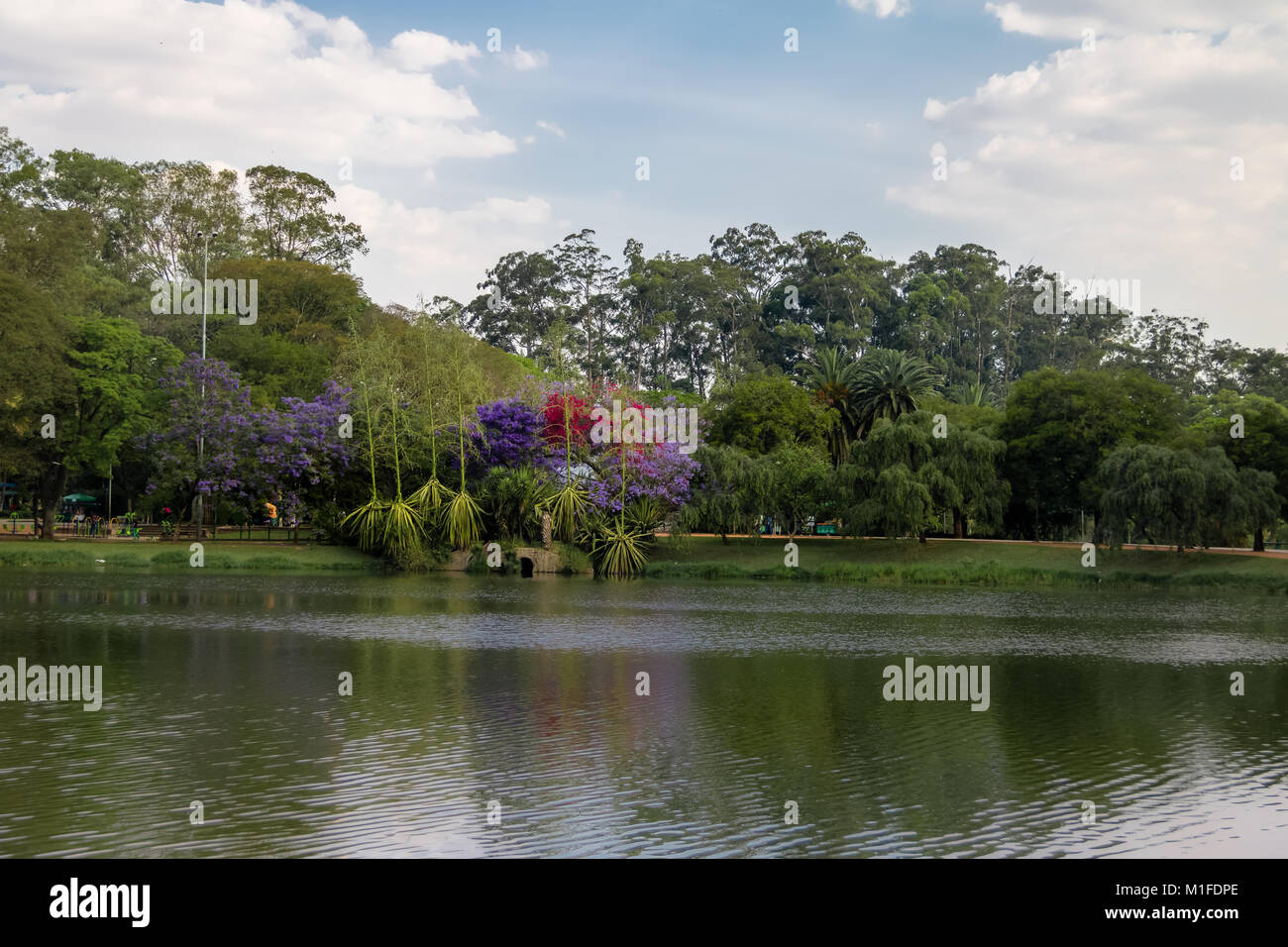 Brazil lake hi-res stock photography and images - Alamy