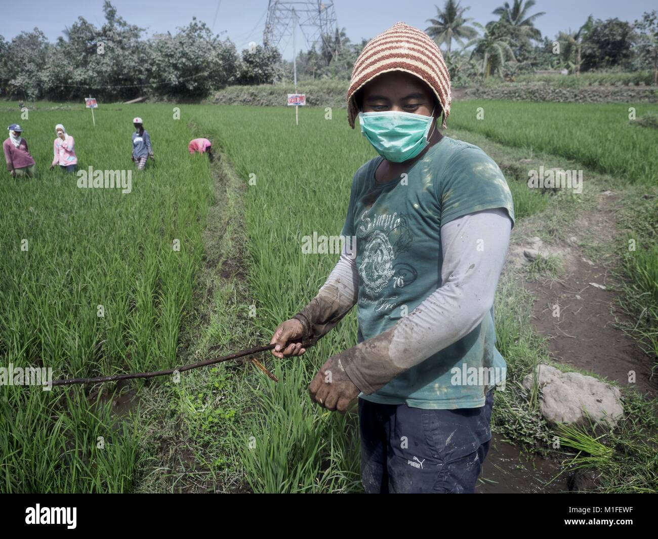 Guinobatan, Albay, Philippines. 30th Jan, 2018. Farmworkers in ...