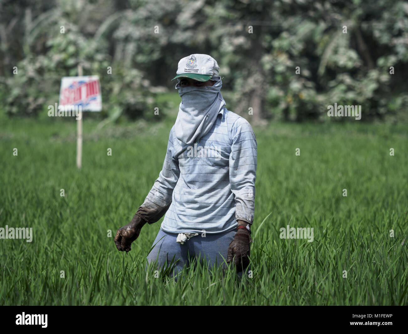 Guinobatan, Albay, Philippines. 30th Jan, 2018. A farmworker in ...