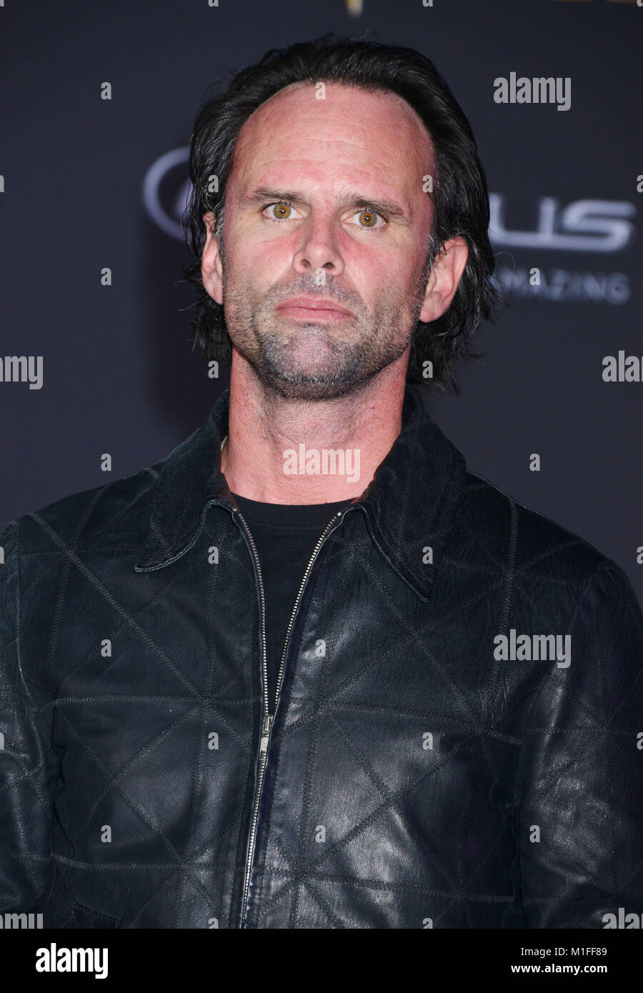 Los Angeles, USA. 29th Jan, 2018. Walton Gogging 018 attends the ...