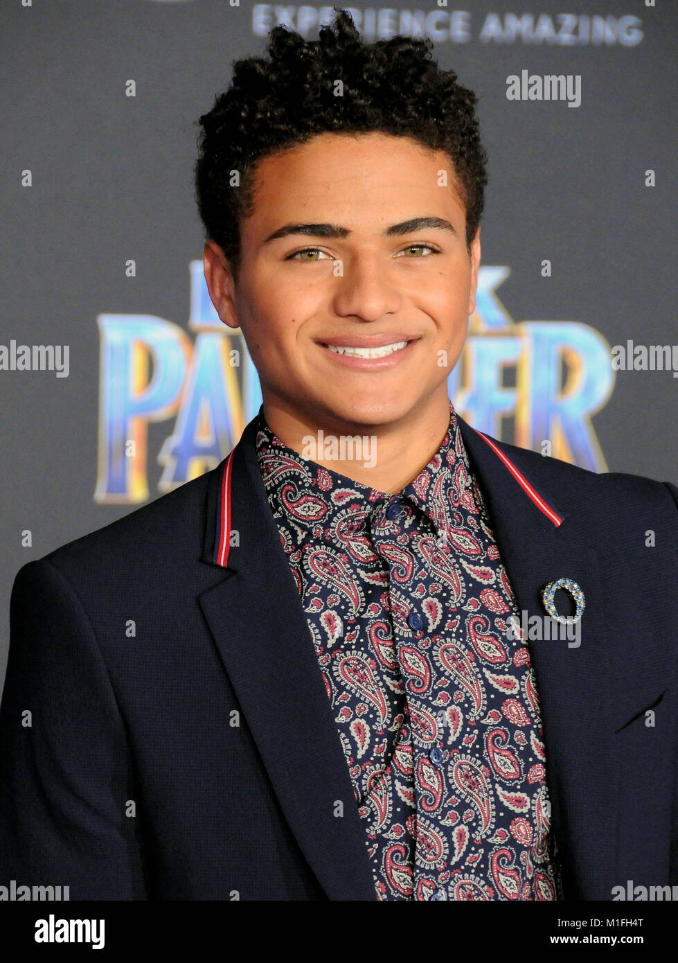 Los Angeles, California, USA. 29th Jan, 2018. Actor Nathaniel Potvin ...