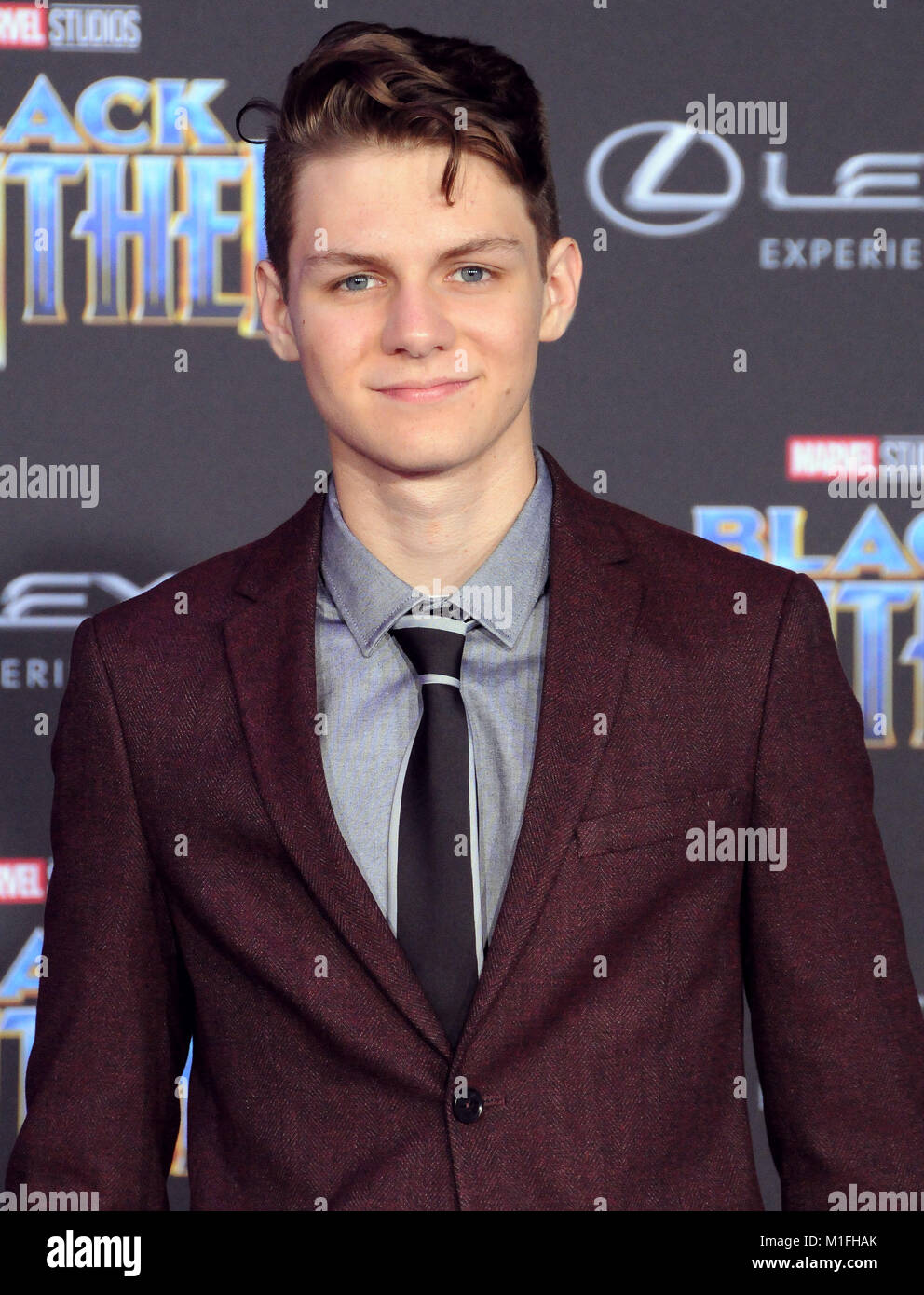 Los Angeles, California, USA. 29th Jan, 2018. Actor Ty Simpkins attends ...