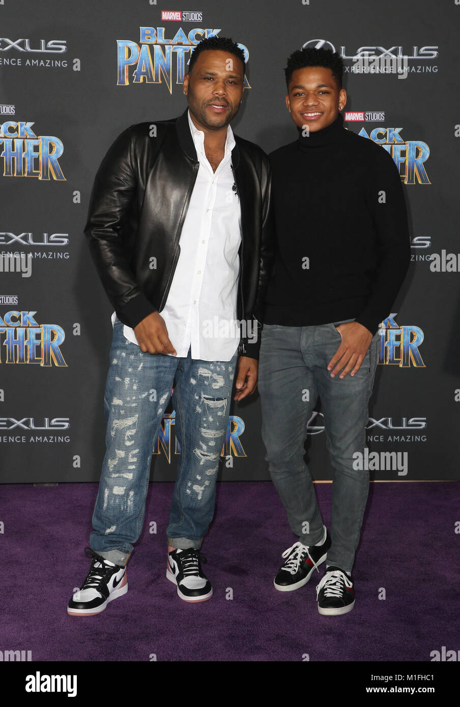 Nathan Anderson Protozoa