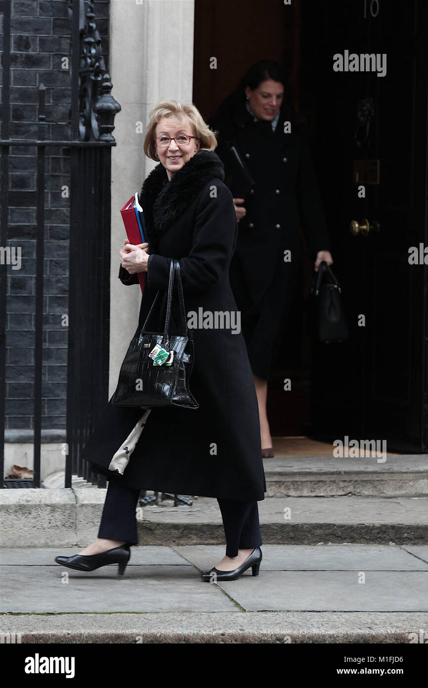 Andrea leadsom downing street hi-res stock photography and images - Alamy