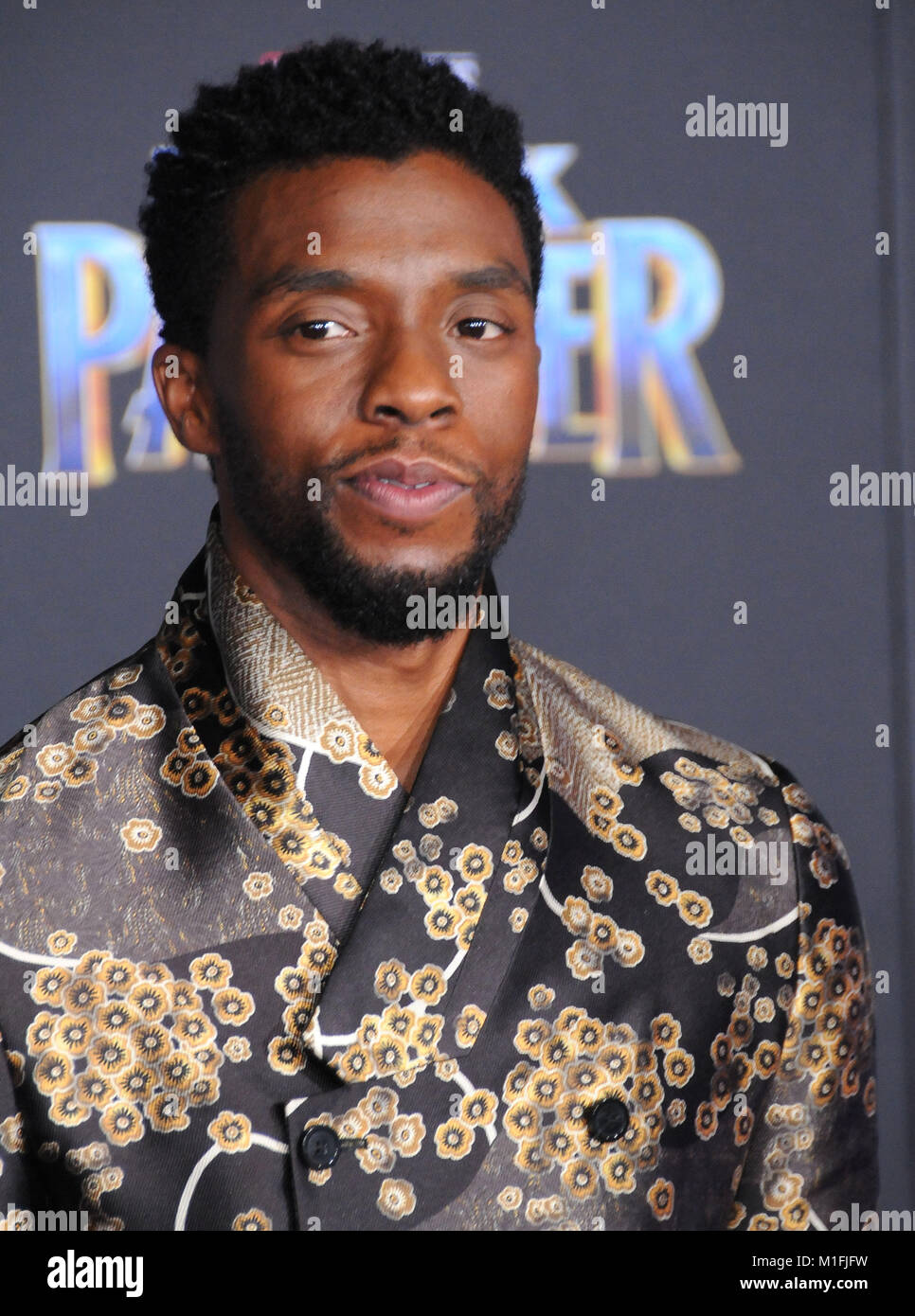 Black panther actor chadwick boseman hi-res stock photography and ...