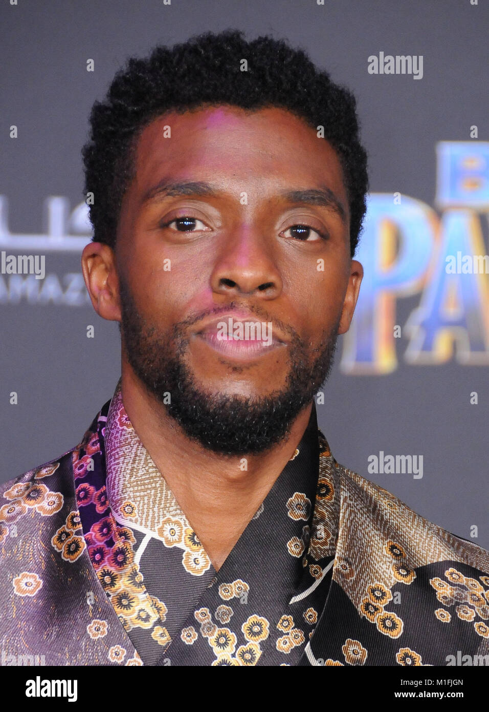 Los Angeles, California, USA. 29th Jan, 2018. Actor Chadwick Boseman ...