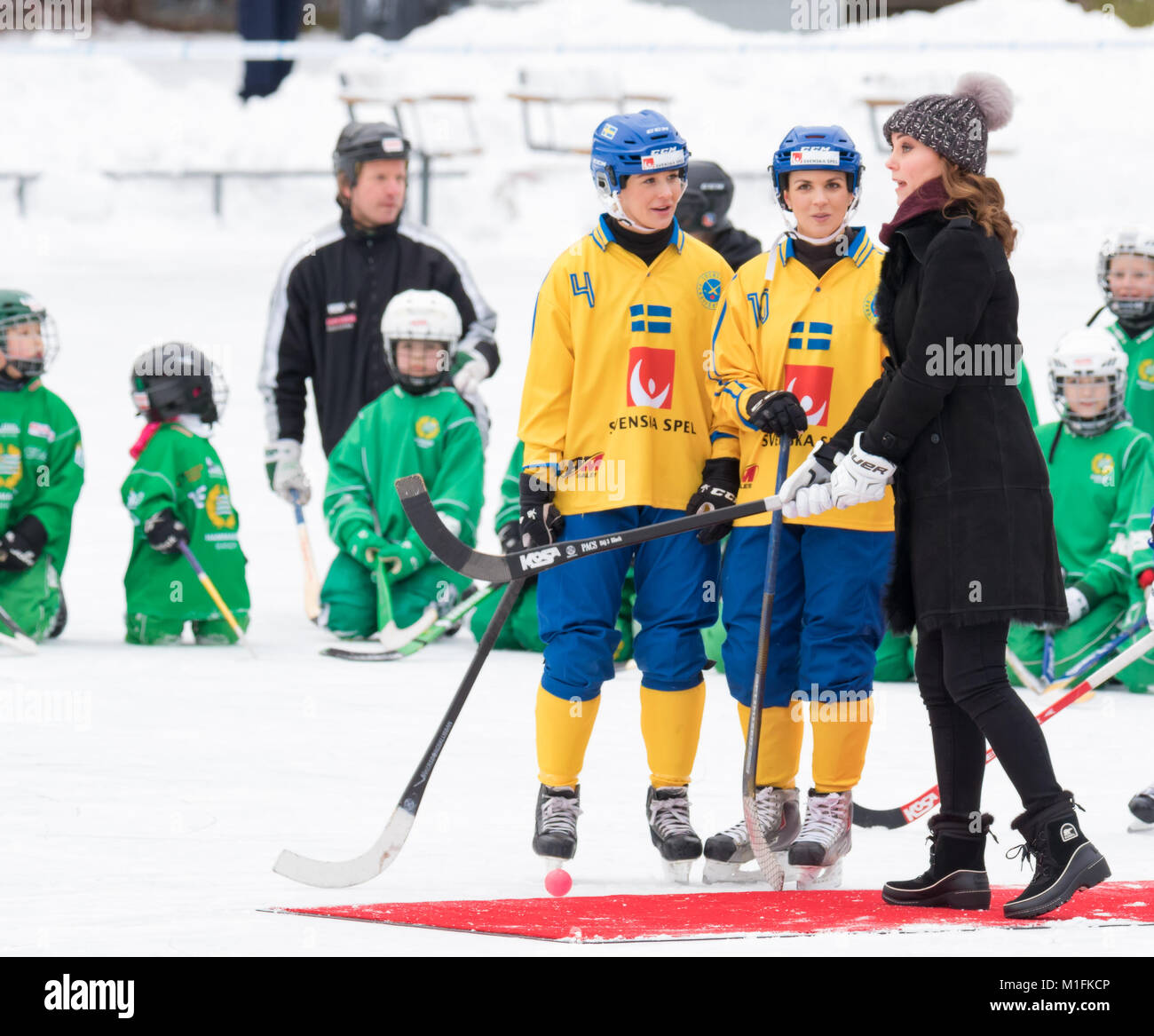Rink bandy hi-res stock photography and images - Alamy