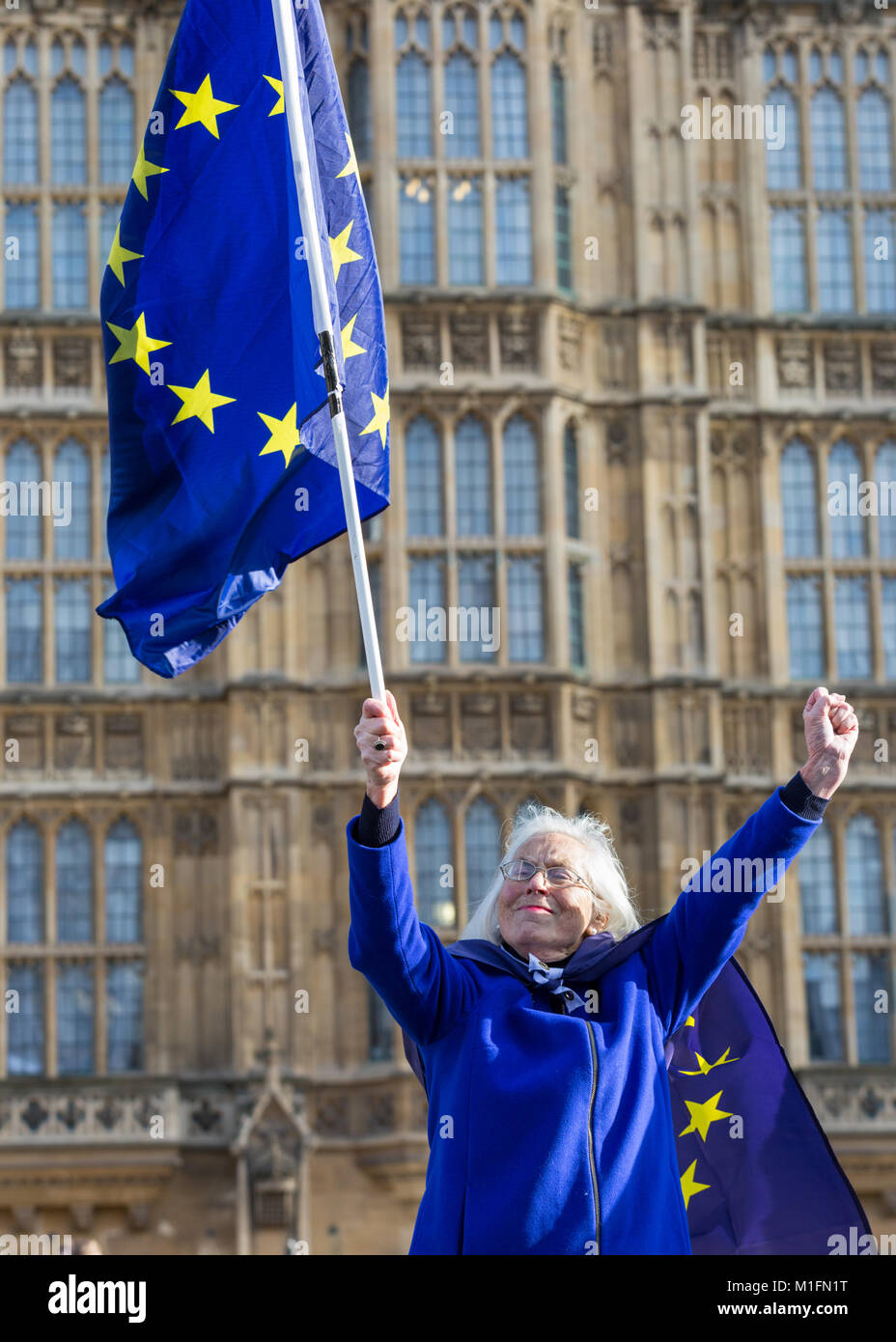 Westminster, London, UK, 30th Jan 2018. A lady has travelled in from ...