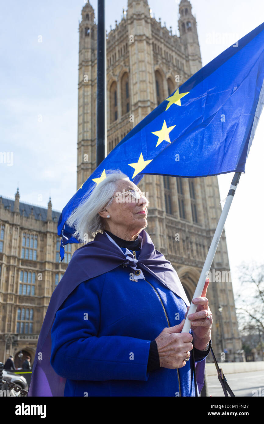 Westminster, London, UK, 30th Jan 2018. A lady has travelled in from ...