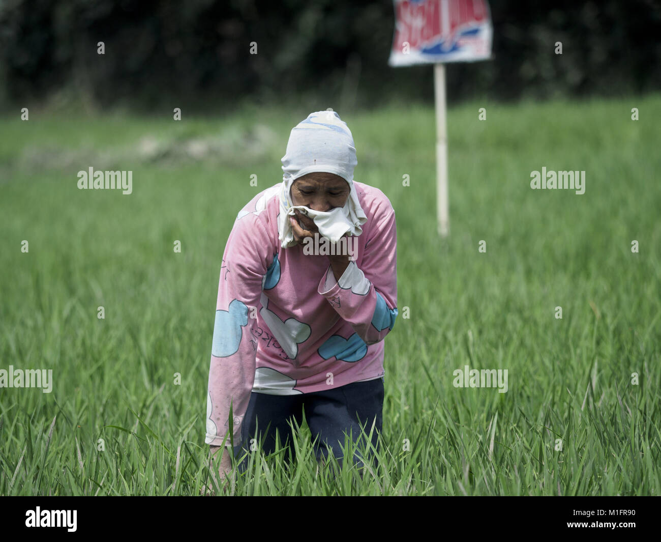 Guinobatan, Albay, Philippines. 30th Jan, 2018. A farmworker in ...