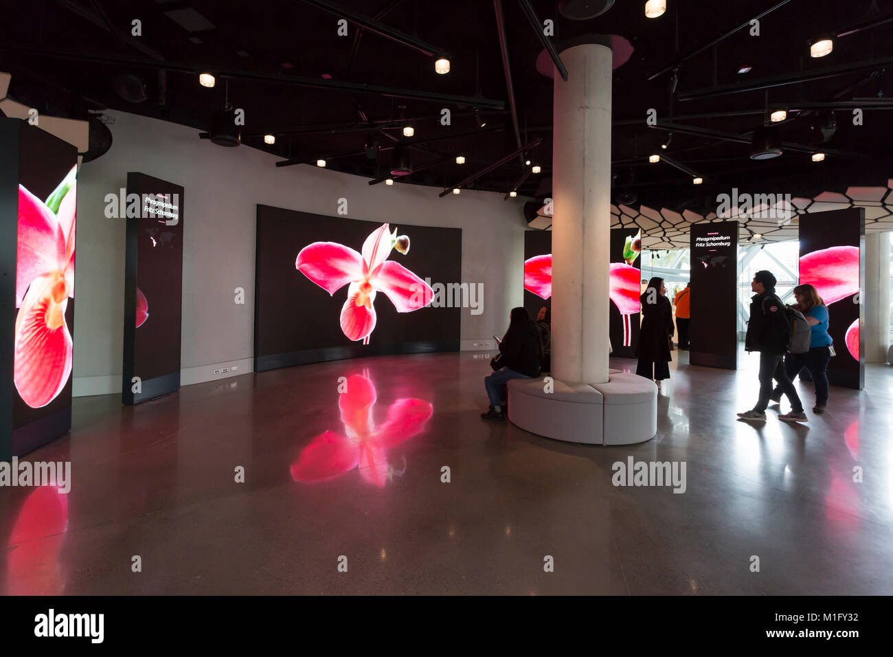 Seattle, USA. 30th Jan, 2018. The Spheres Discovery at Understory ...