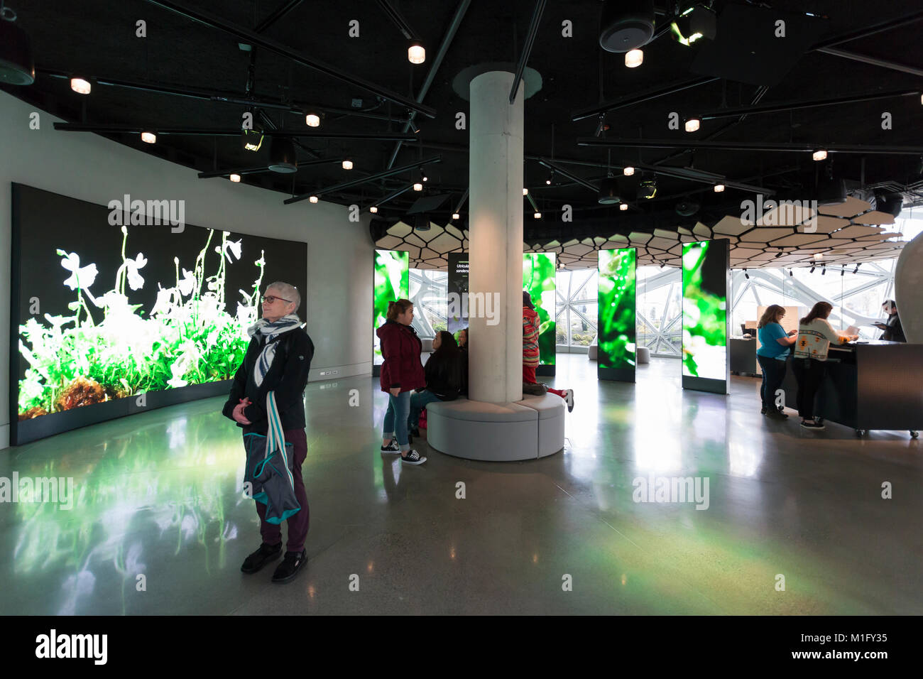 Seattle, USA. 30th Jan, 2018. The Spheres Discovery at Understory ...