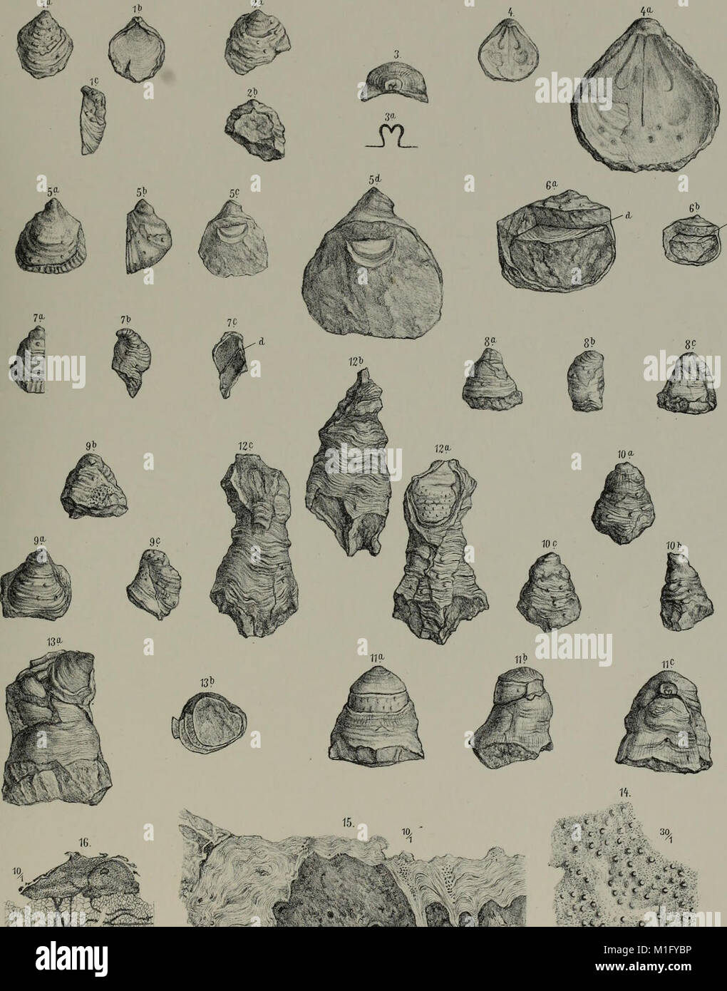 The 'Abhandlungen der Geologischen Bundesanstalt' (1900) is a ...