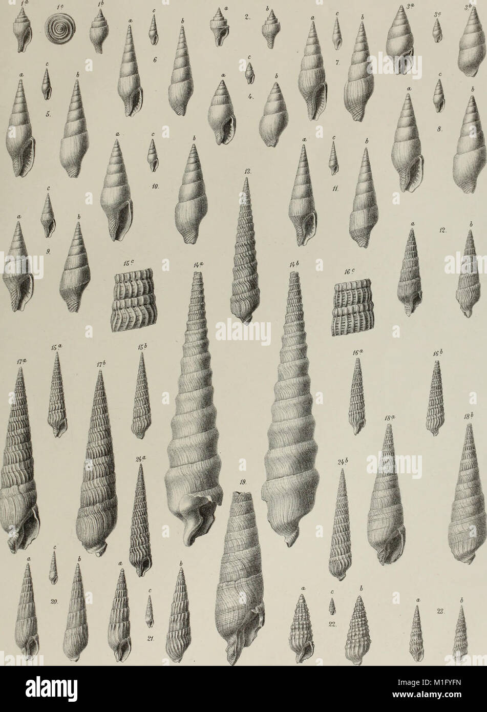 The 'Abhandlungen der Geologischen Bundesanstalt' (1879) is a ...