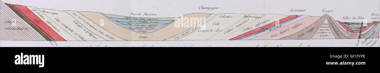 The 1824 volume of Annales des Sciences Naturelles contains scientific ...