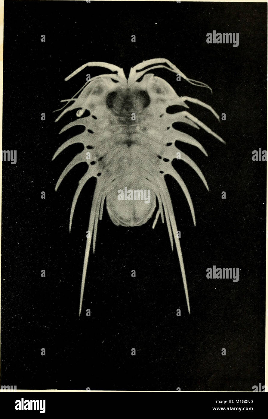 Published in 1961, *A Biology of Crustacea* is a comprehensive work ...