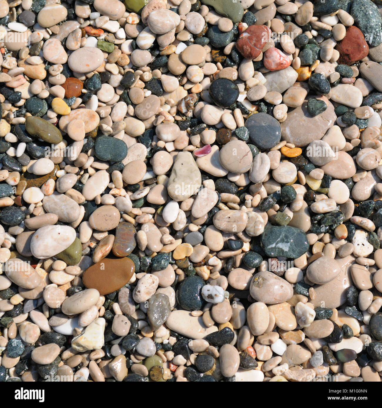 beautiful background of natural stone pebbles Stock Photo - Alamy