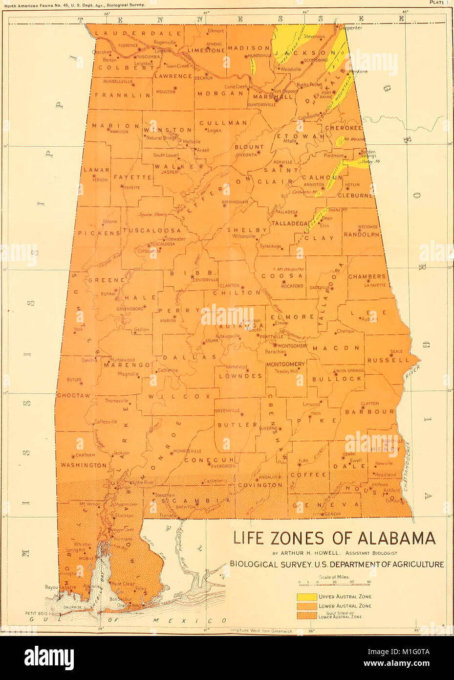 Life zones hi-res stock photography and images - Alamy