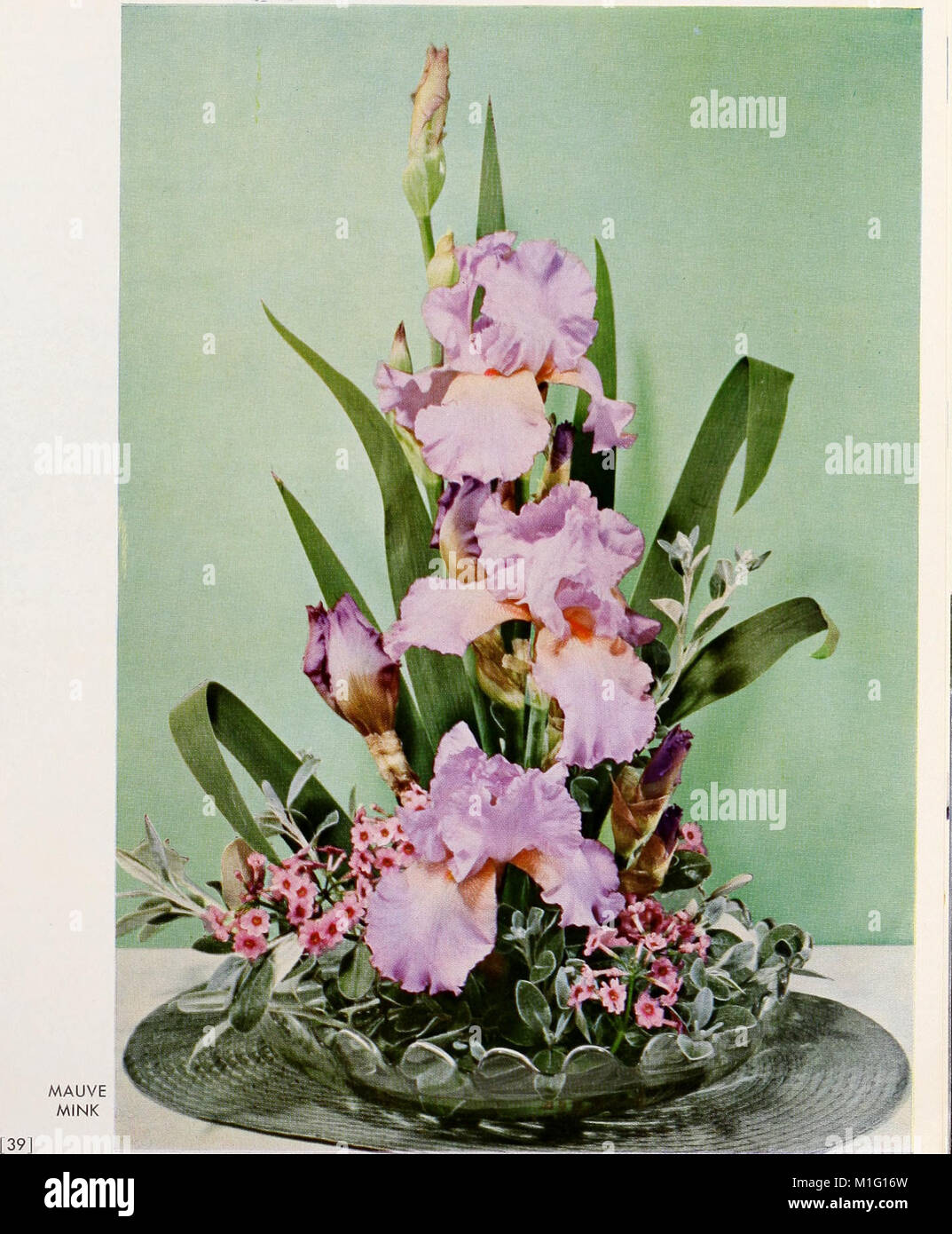 The 1964 Cooley's Gardens photograph showcases the vibrant floral ...