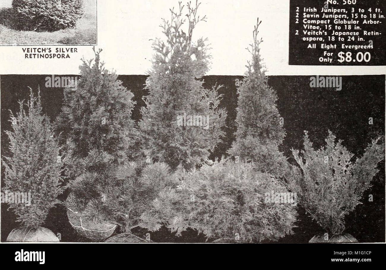 1940 Planter's guide (1940) (16050661043 Stock Photo - Alamy