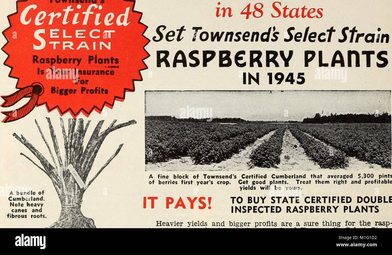 The 1946 fruit catalog offers a range of fruit varieties available for ...